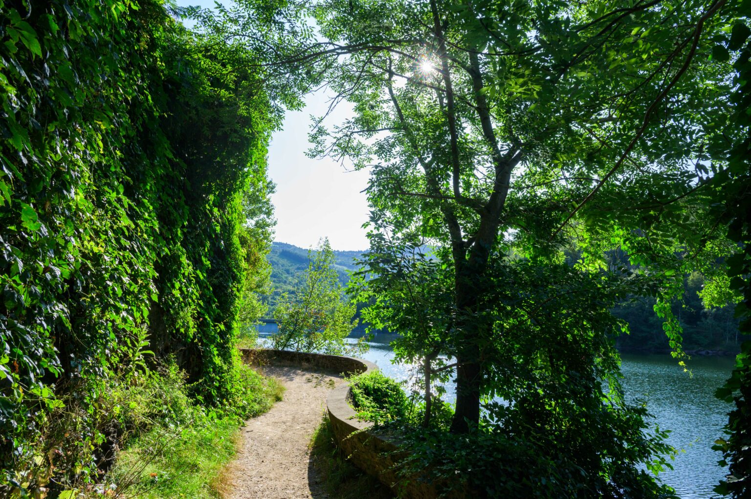 Sentier de Saint-Chamond - Le barrage de la Rive n°11 - Ville de Saint ...